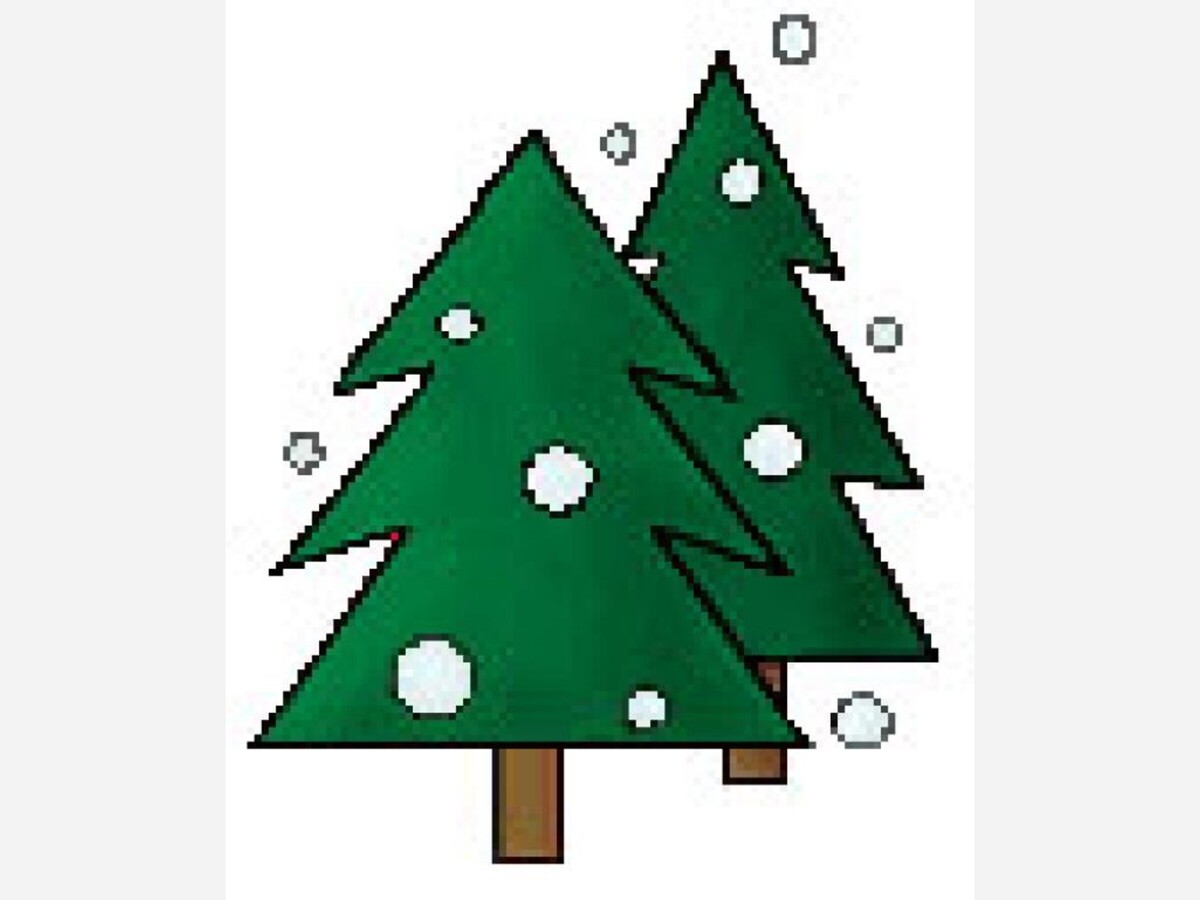 Hunting For The Perfect Tree For Christmas A True Story The
