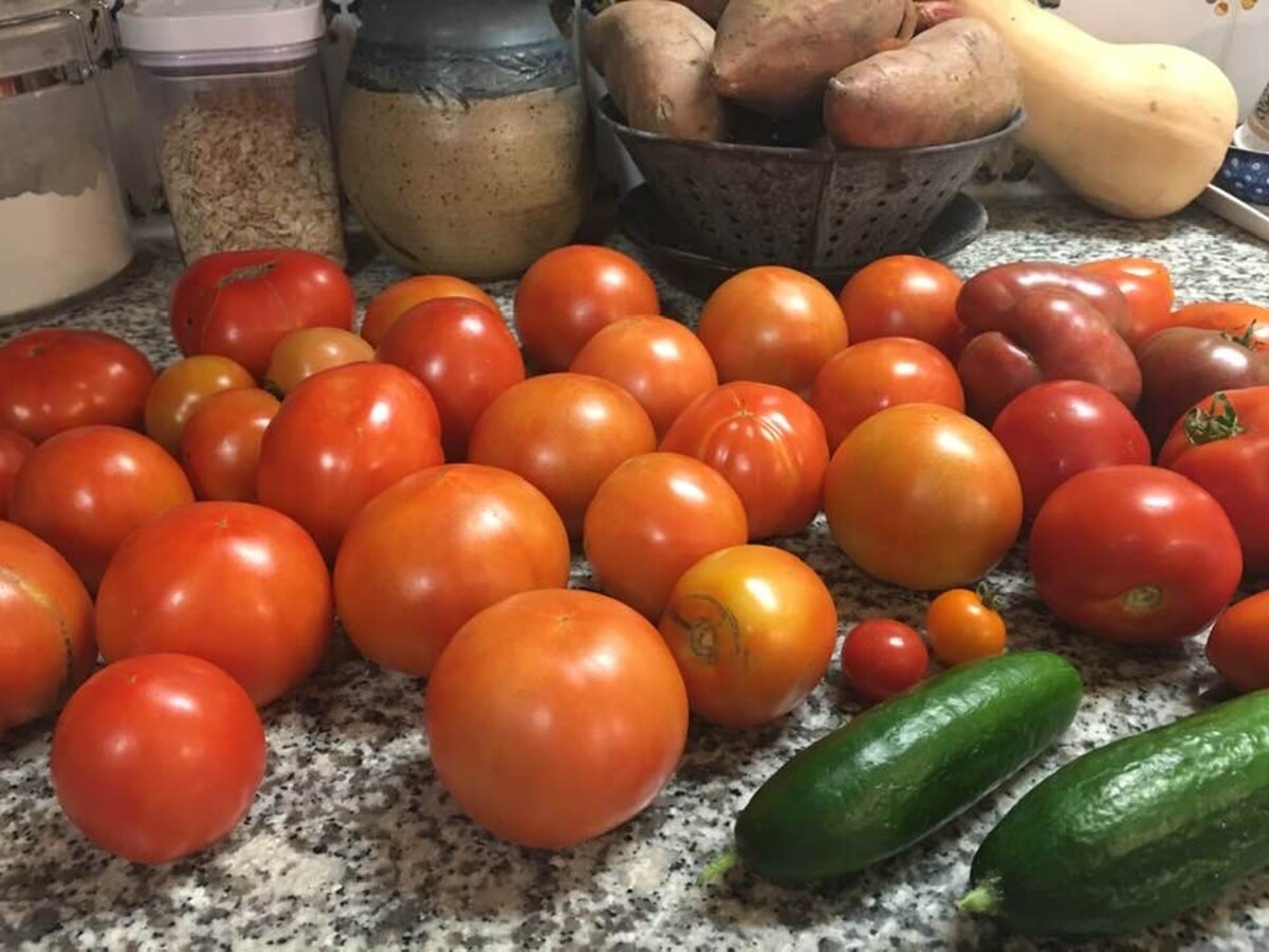 Philosophizing About Food With Francine: It's Tomato Time! | The Boyertown Area Expression