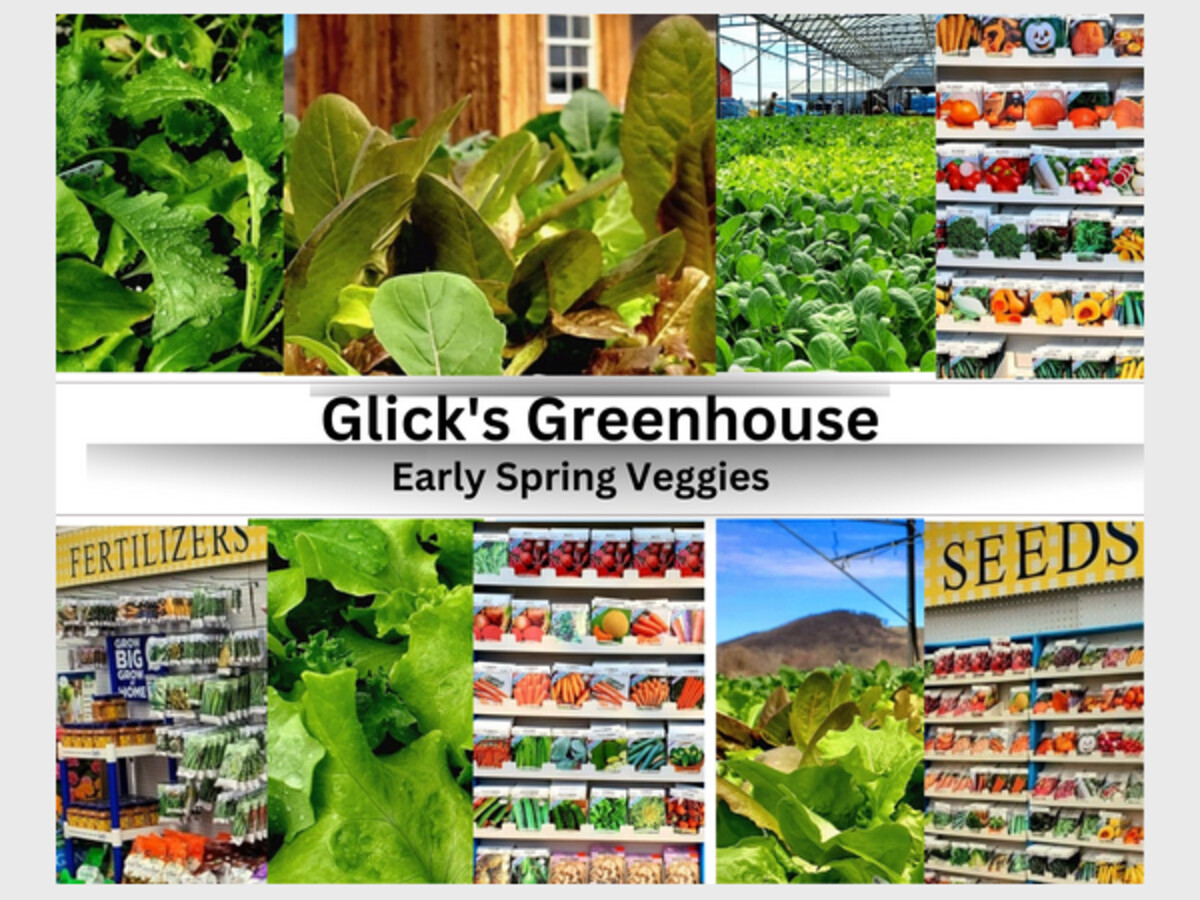 Early Spring Veggies Ready to Plant! | The Boyertown Area Expression